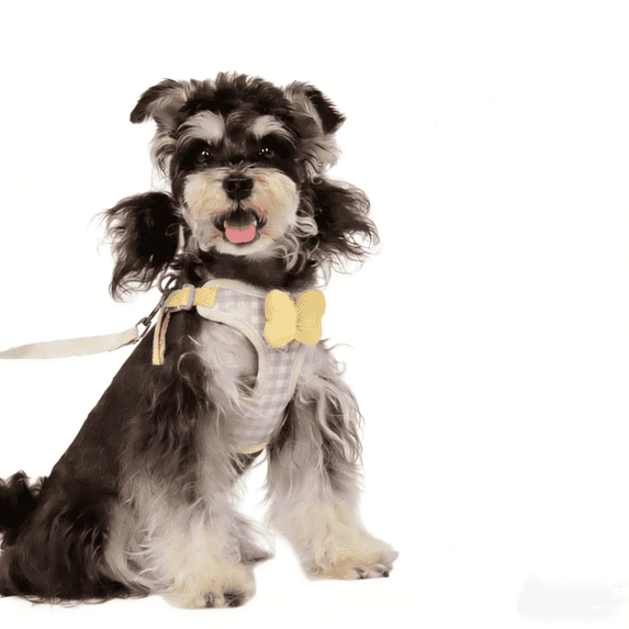 Dog Vest Harness and Leash Set for Walking Escape Proof, Adjustable ...