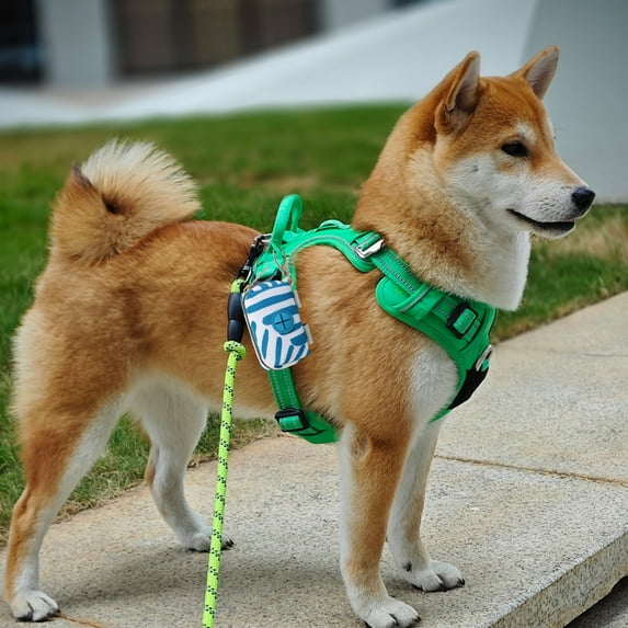 Dog Waste Bag Carrier Pouch Holder, Poop Bag Dispenser For Pet Walking ...