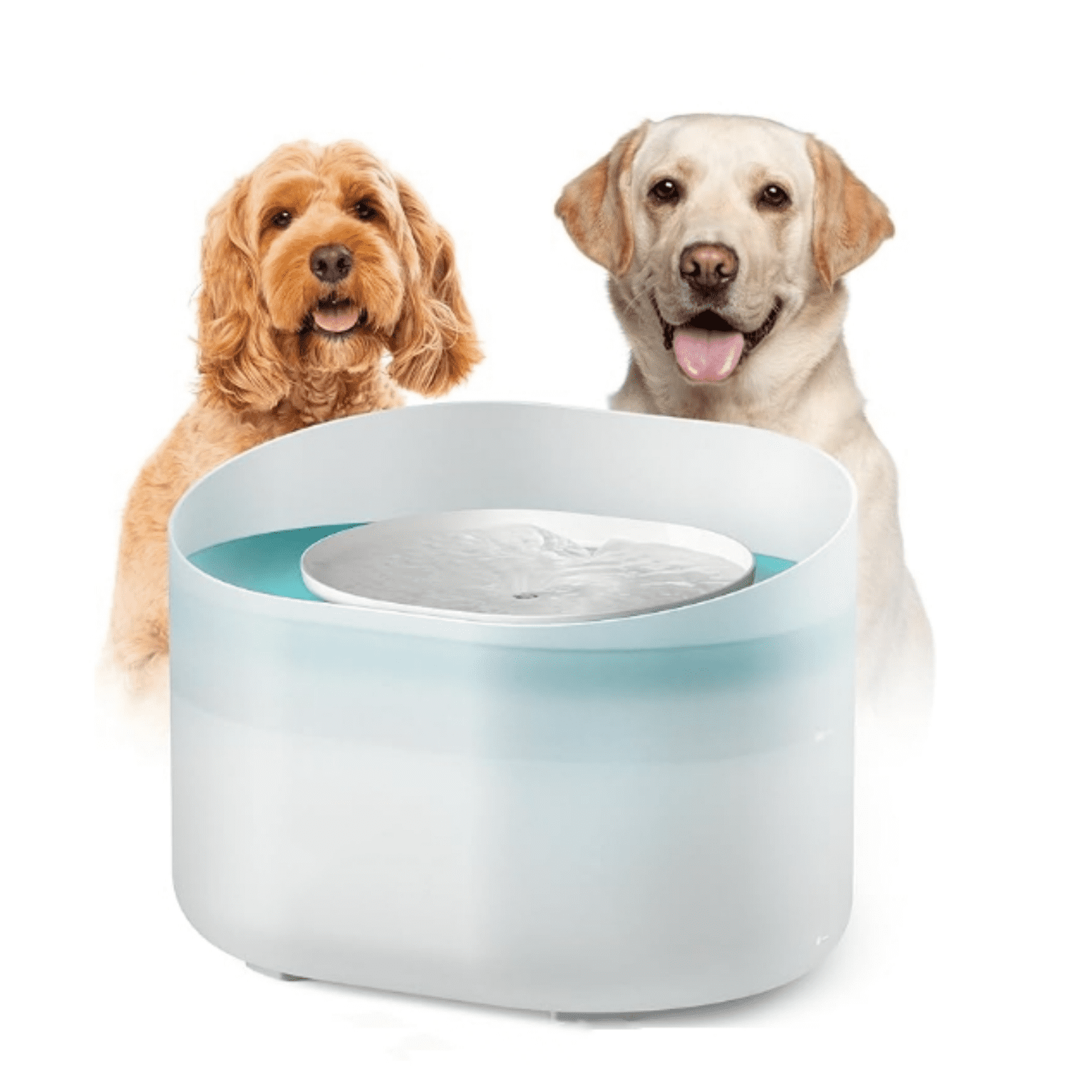 Dog Water Fountain, 2.1/8L Capsule Dog Fountain for Medium to Large ...