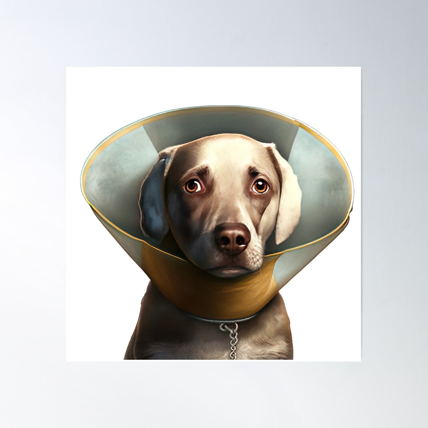 Dog Wearing Collar Poster Wall Art Modern Wall Decor Wall Art Home ...