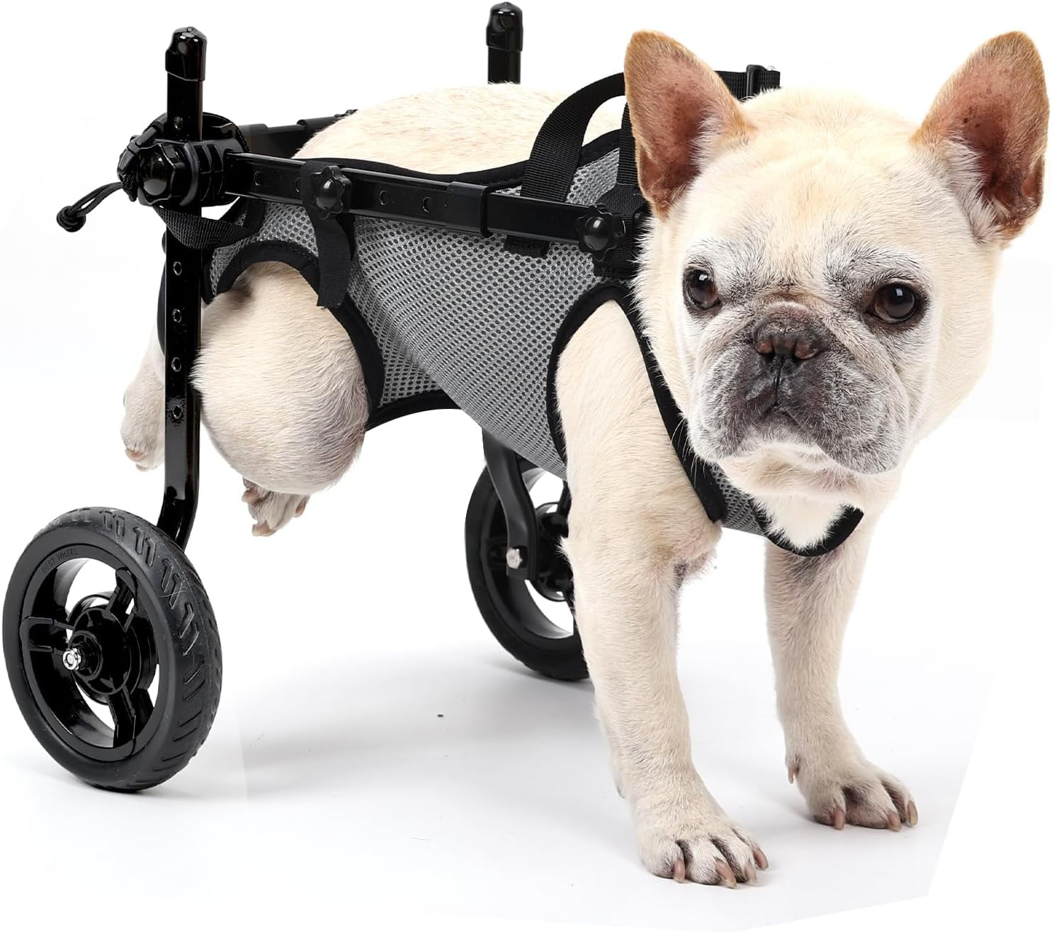 Dog Wheelchair for Back Legs, Light Weight Dog&Cat&Pets Wheelchair Cart ...