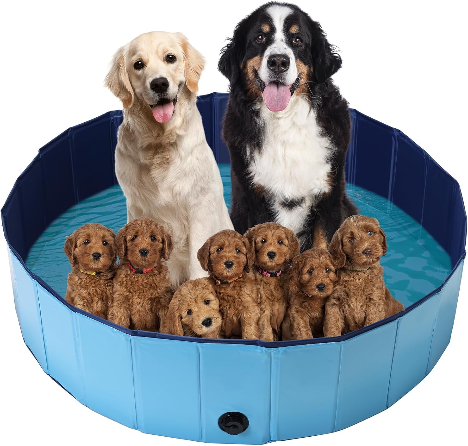 Dog Whelping Box, Foldable Birthing Pool for Dogs, Whelping Pool for ...