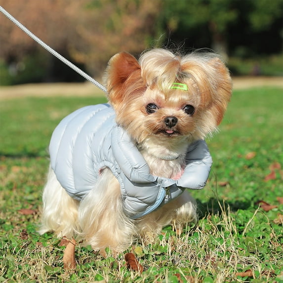 Dog Winter Coat | Two-Legged Padded Jacket for Small Dogs | Windproof ...