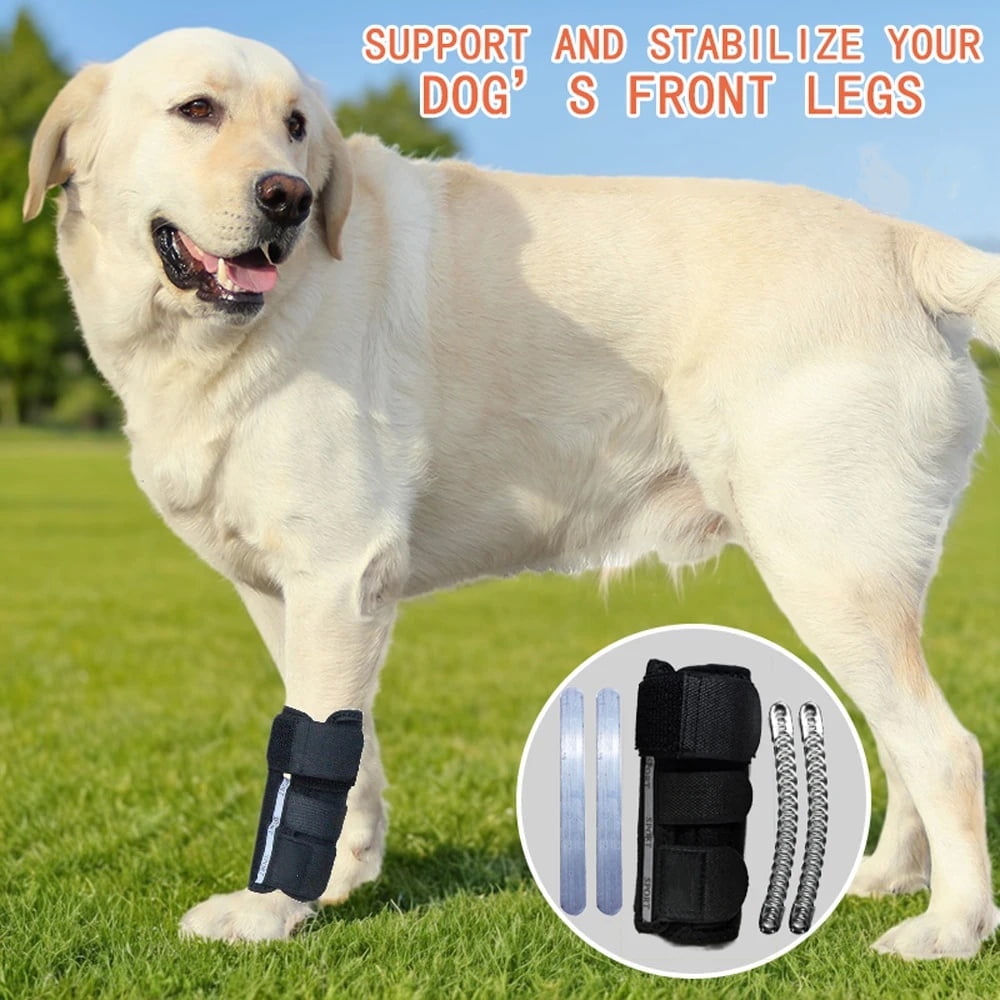 Dog and Cat Fracture and Crouching Hooves Fixation Splint Hoof O-Leg ...