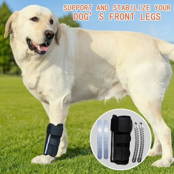 Dog and Cat Fracture and Crouching Hooves Fixation Splint Hoof O-Leg ...