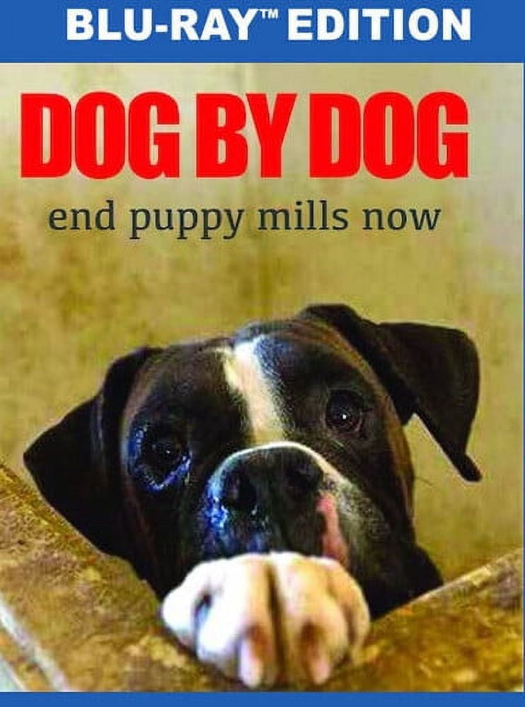 Dog by Dog (Blu-ray), Gravitas Ventures, Documentary - Walmart.com
