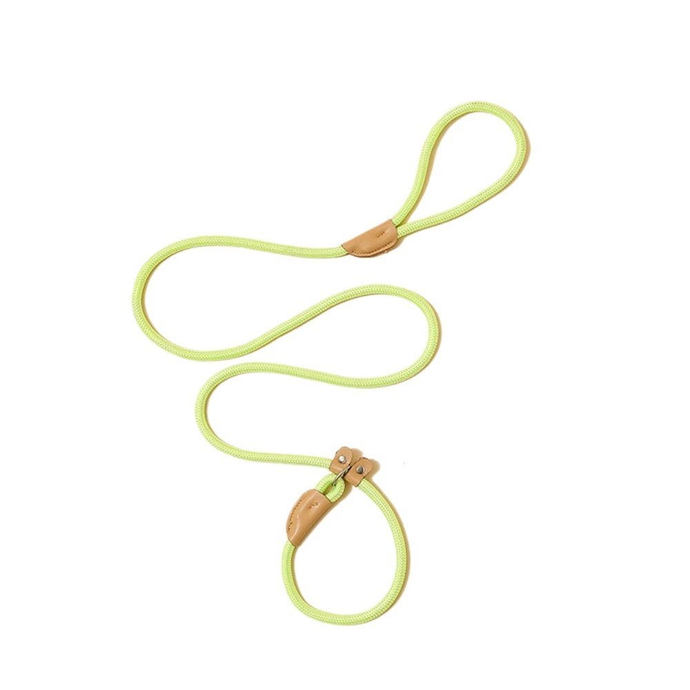 Dog leash, universal safety buckle for large dogs, dog chain collar ...