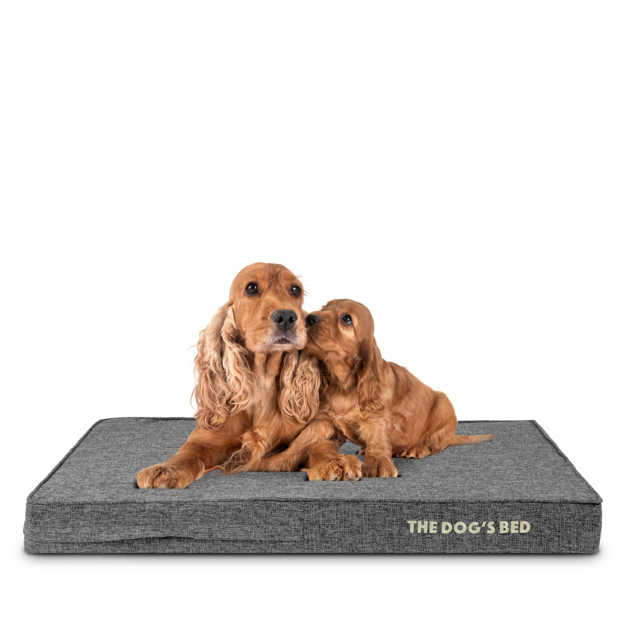 The Dog’s Bed Orthopedic Memory Foam Dog Bed, Large Grey Linen 40x25 ...