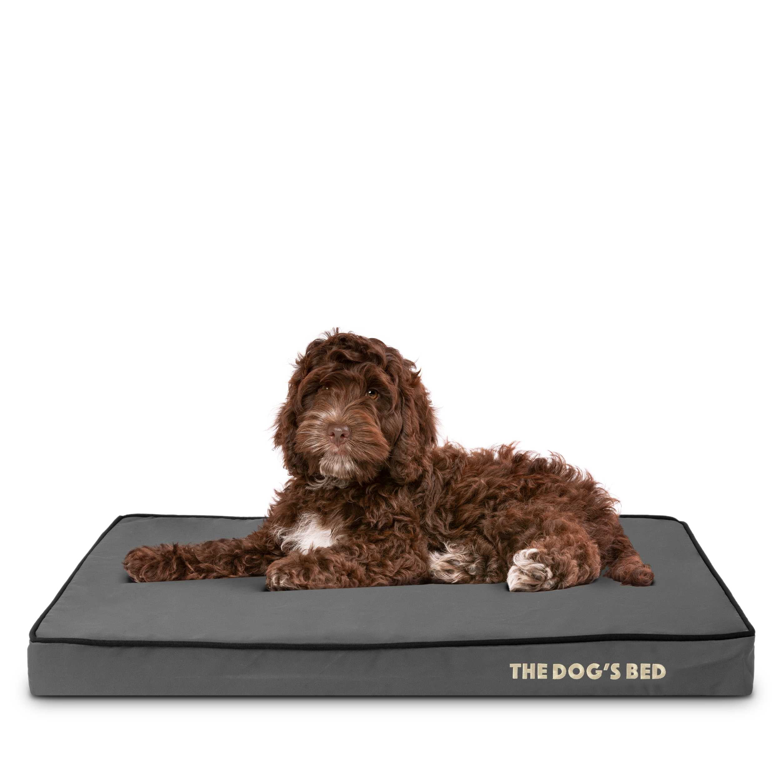 The Dog’s Bed Orthopedic Memory Foam Dog Bed, Medium Grey/Black 34x22 ...