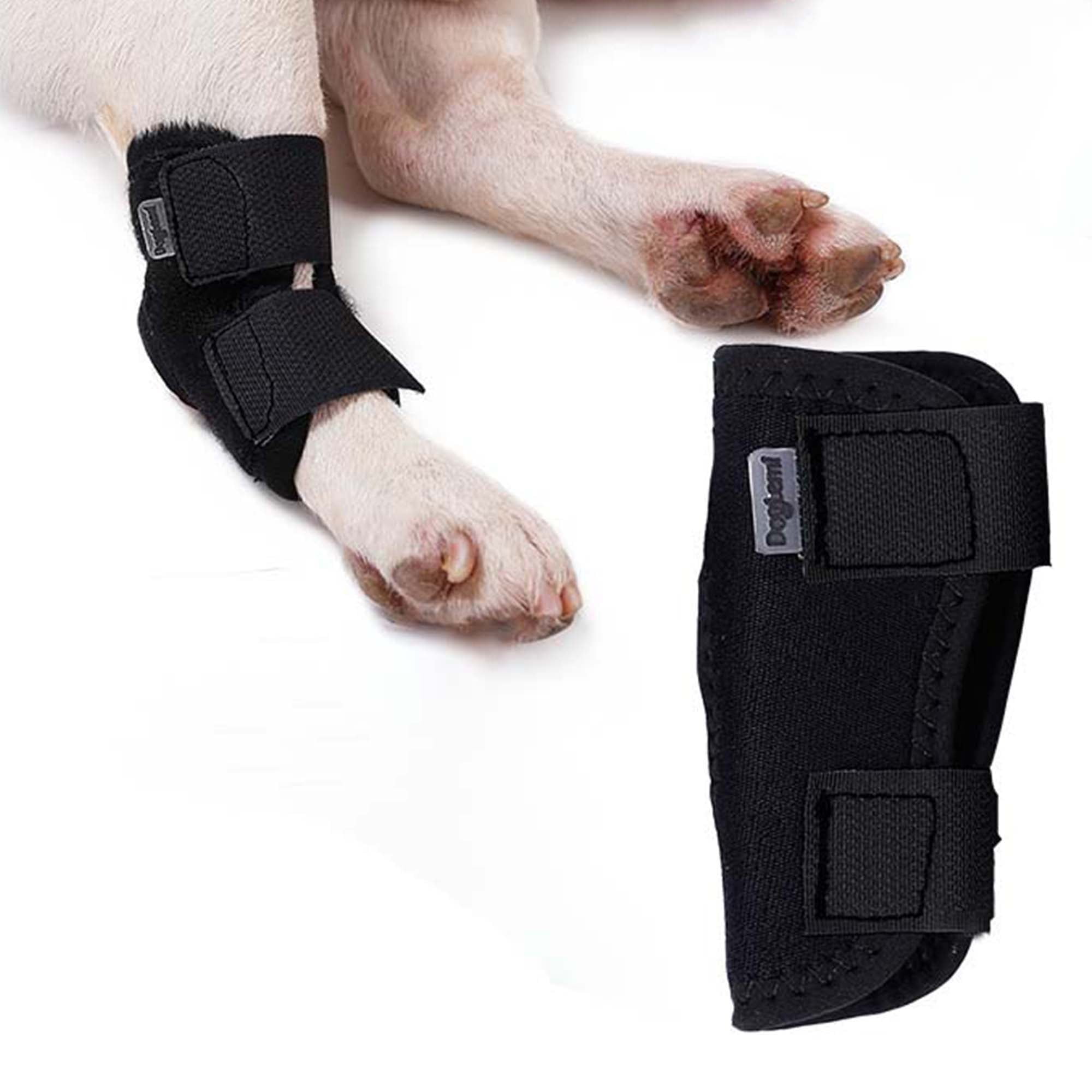DogLemi Dog Leg Braces for Back Leg Wrap Hock Compression Protects ...