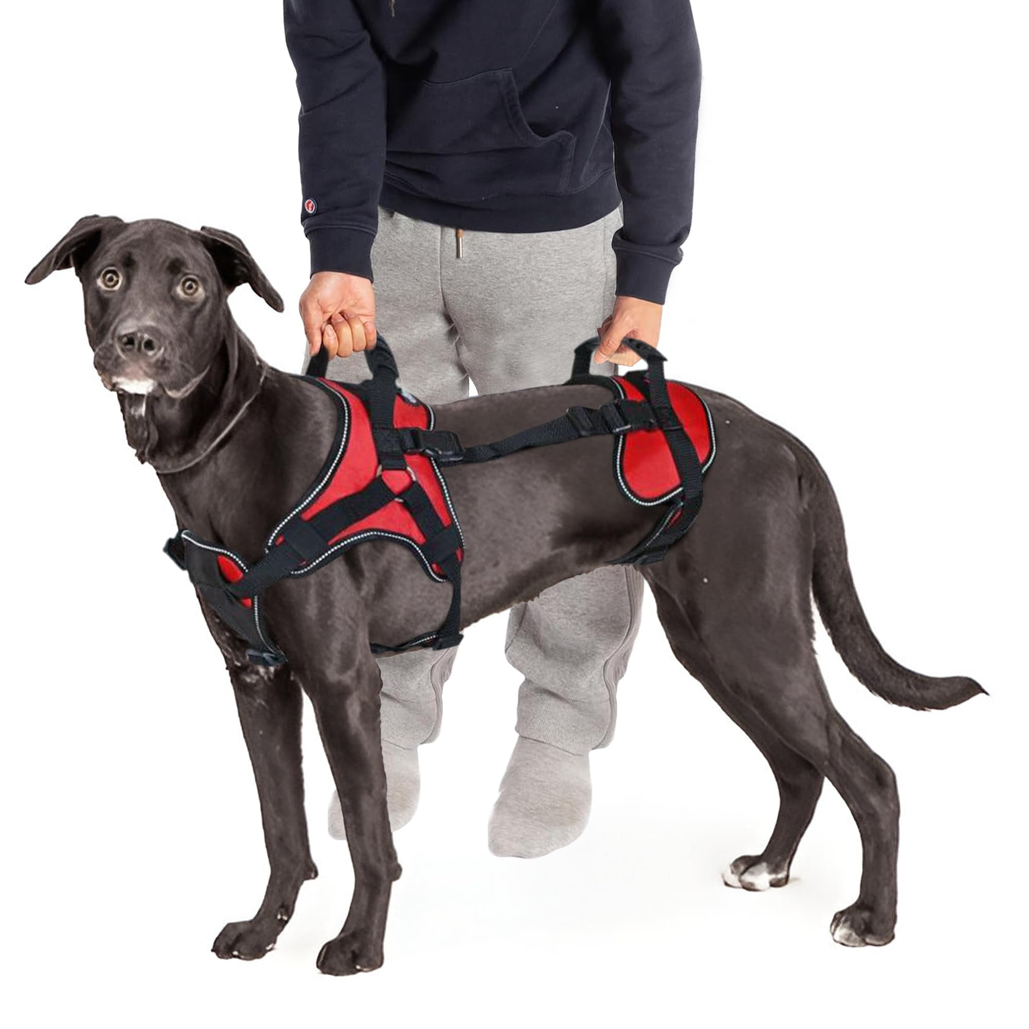 Doggie Stylz Multi-Functional Full-Body DMF15 Lifting Dog Harness Vest ...