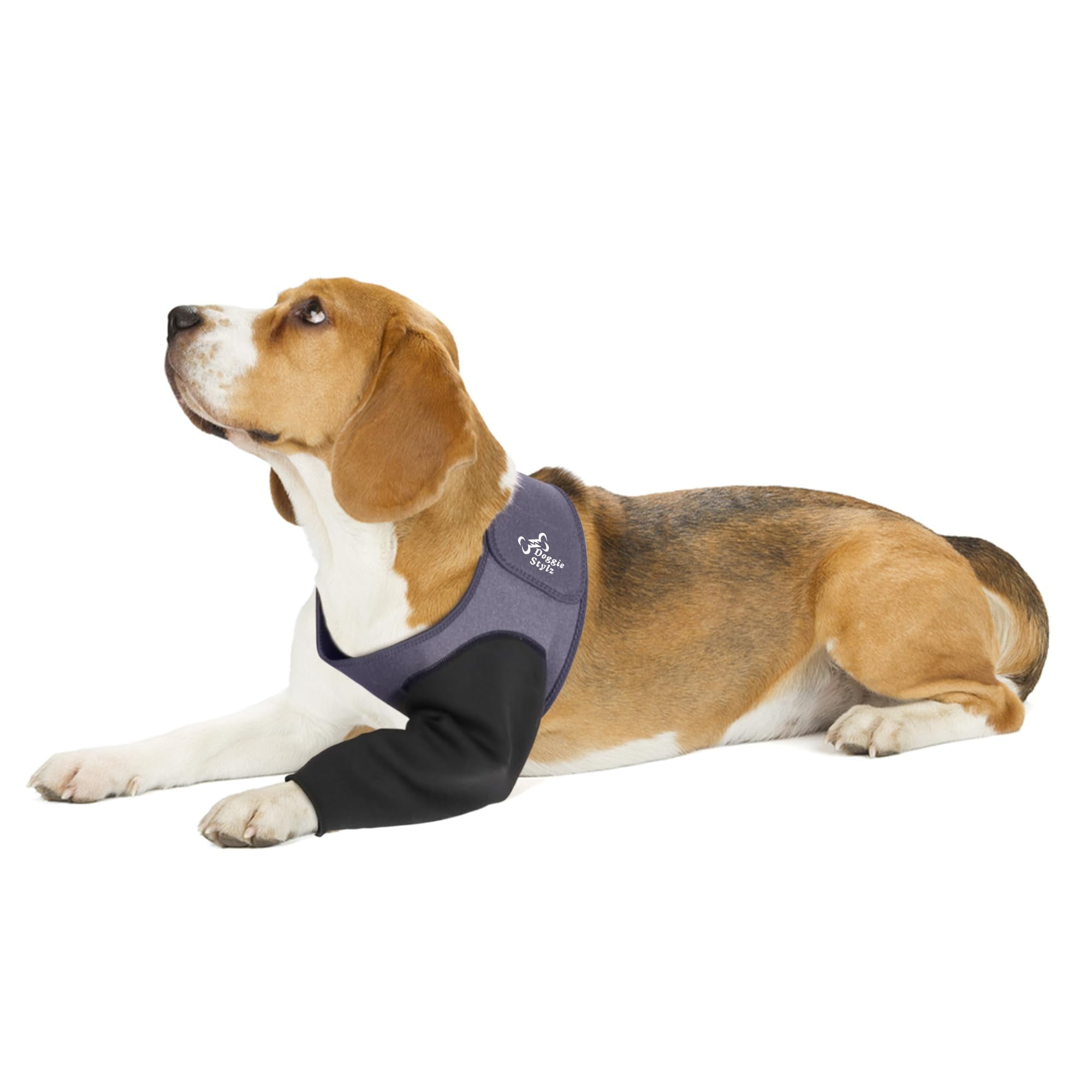 Doggie Stylz Dogs in Pets - Walmart.com