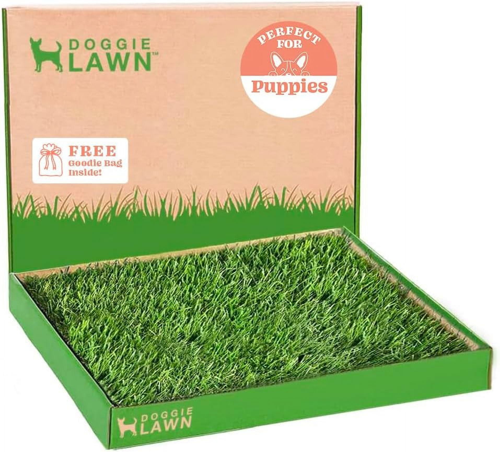 DoggieLawn - Real Grass Disposable Potty Training Puppy Pee Pads, Dog ...