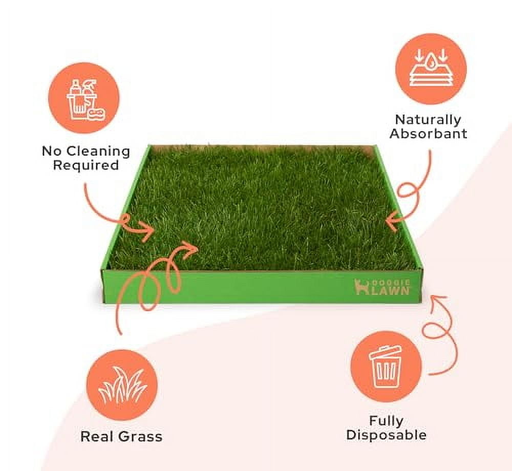 DoggieLawn Real Grass Puppy Pee Pads- 24 x 16 Inches - Perfect Indoor ...