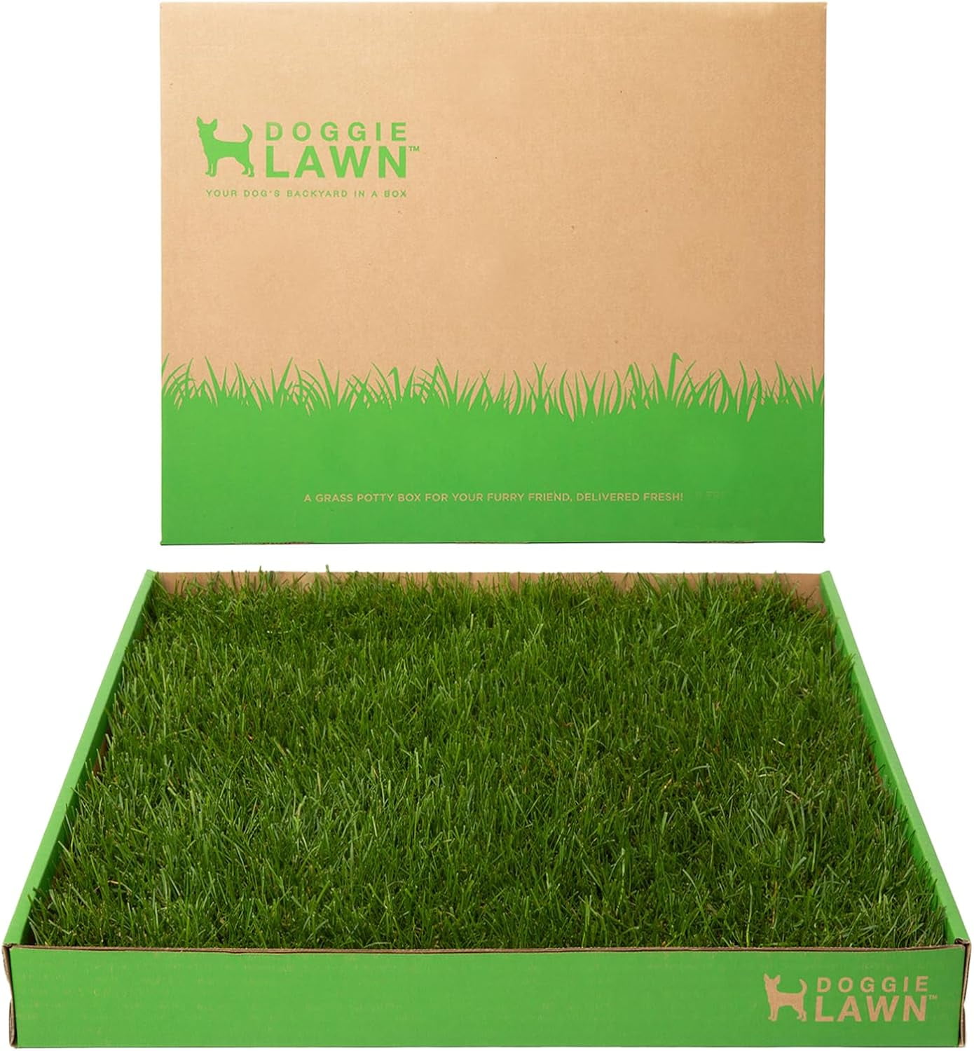 DoggieLawn Real Grass Puppy Pee Pads- 24 x 48 Inches - Perfect Indoor ...