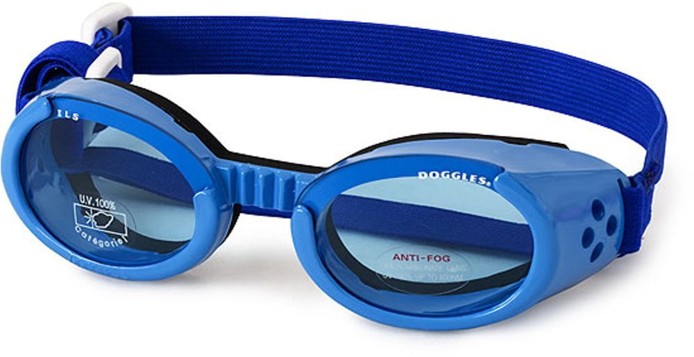 Doggles ILS Shiny Frame Dog Goggles, Blue, X-Large - Walmart.com