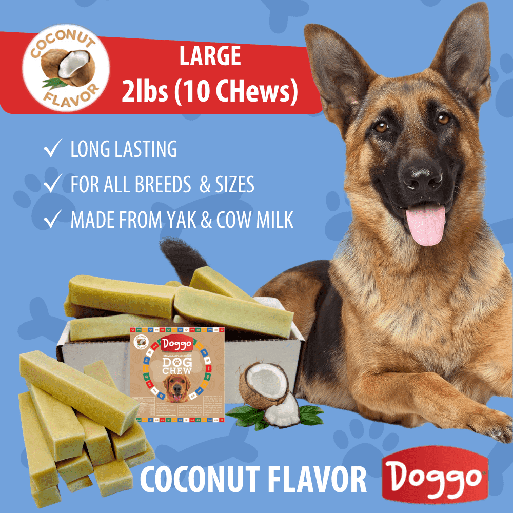 Doggo Dog Chew Natural Coconut Flavor Yak Chews for Dogs, Long-Lasting ...