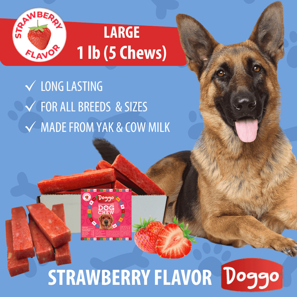 Doggo Dog Chew Natural Strawberry Flavor Yak Chews for Dogs, Long ...