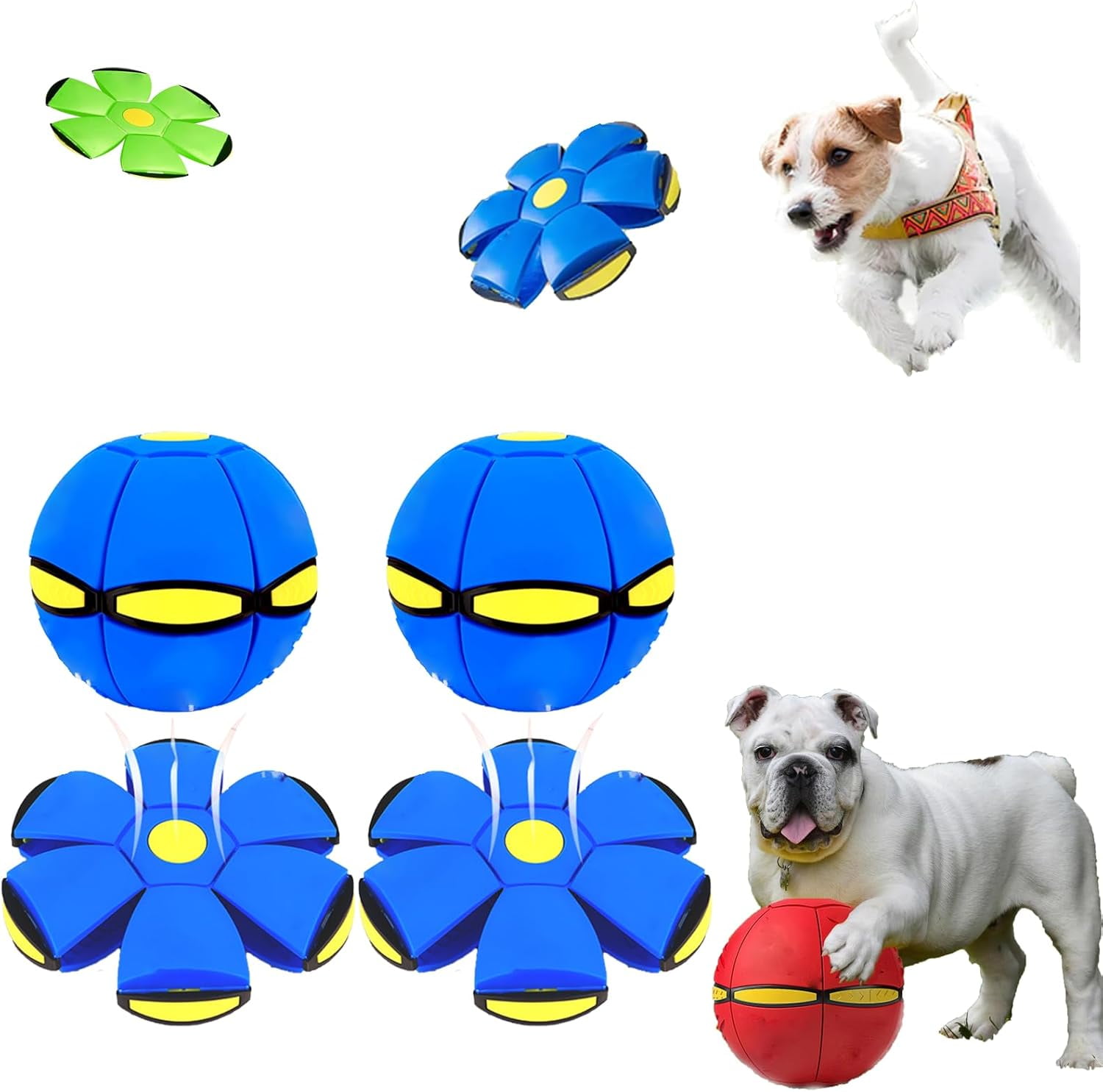 Doggy Delight Disc, Petootsy Doggy Delight Disc, Doggy Delight Disc ...