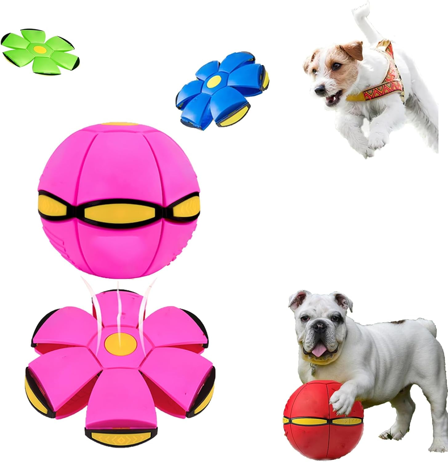 Doggy Delight Disc, Petootsy Doggy Delight Disc, Doggy Delight Disc ...