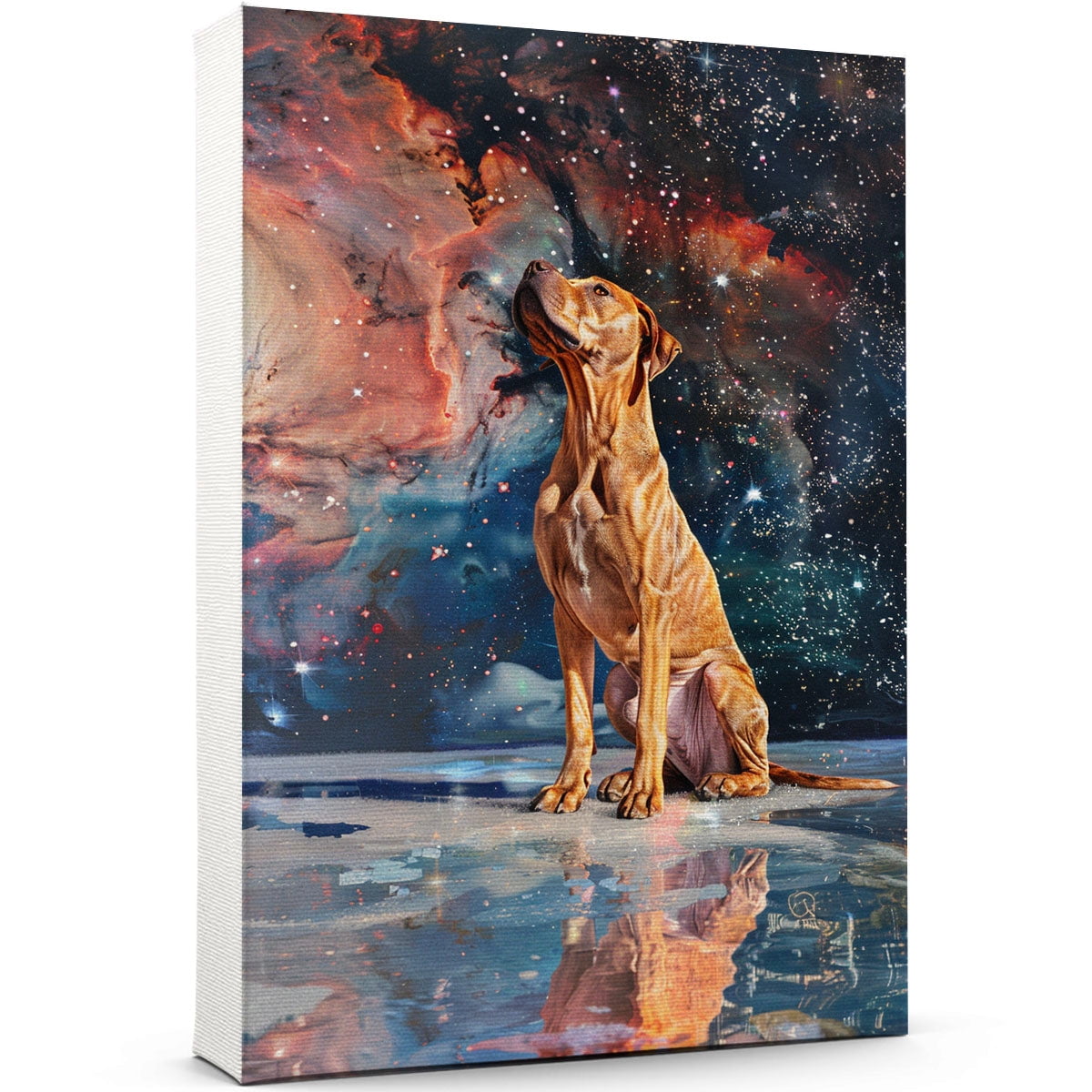 Dogo Argentino Dog Lying in The Snow Canvas Print Wall Art Famous ...