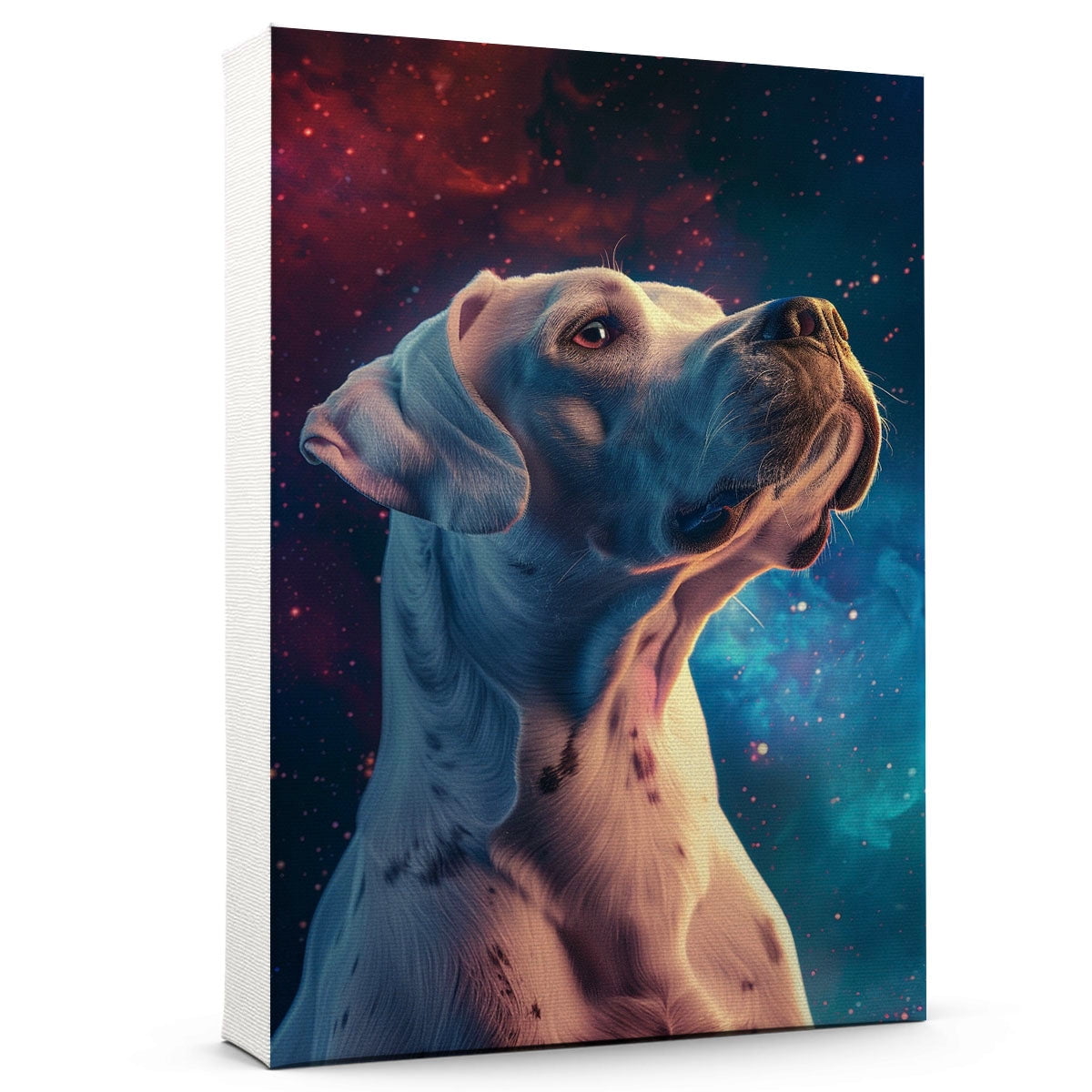 Dogo Argentino Dog Space Painting Poster Unframe, Dogo Argentino Dog ...