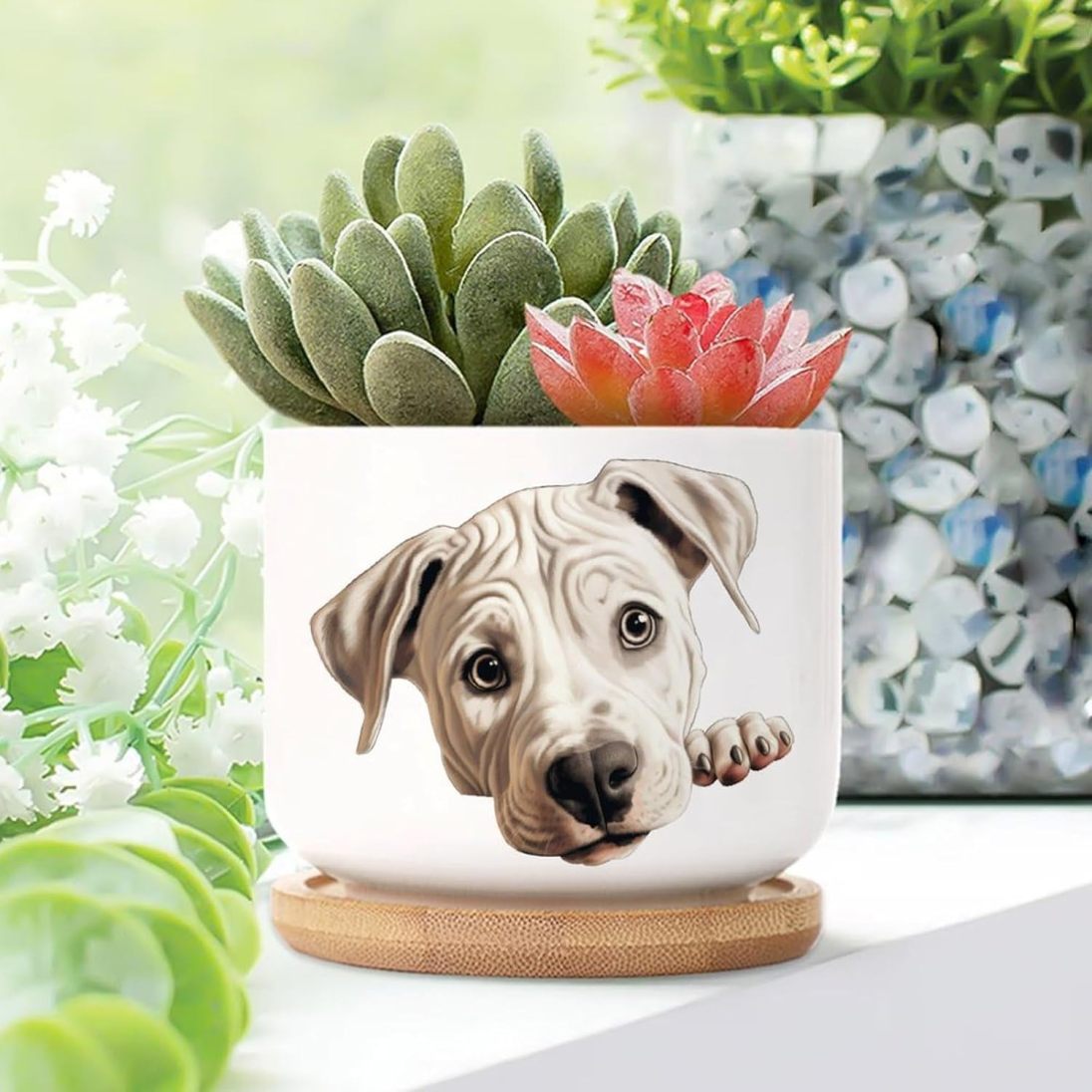 Dogo Argentino Small Plant Pot Ceramic 5 Pack Dogo Argentino Cute Funny ...