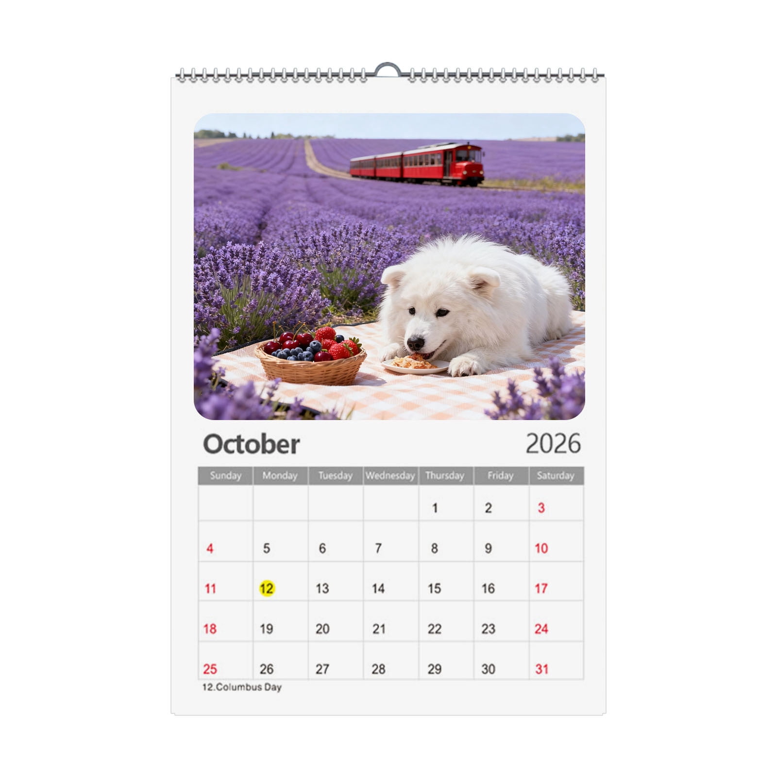 Dogs Calendar 2026, 12 x 8 inch, Samoed Wall Calendar, 2026 Every Month ...