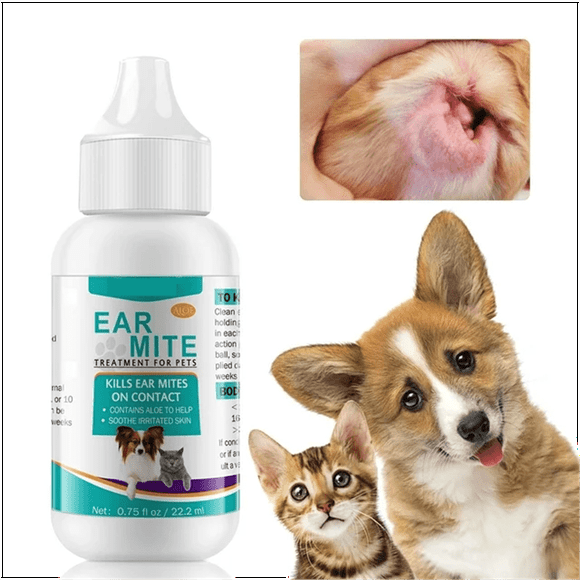 Dog Ear Mite Treatment in Dog Ear Care - Walmart.com