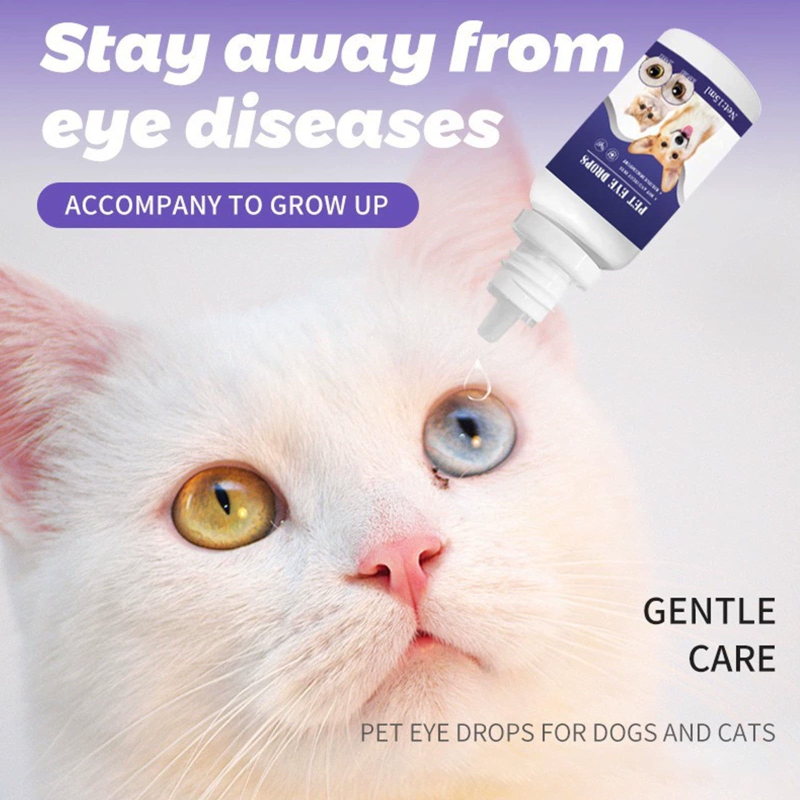Dogs Eye Drops - 15ml Plant Extract Solution Mild, Instant Relief ...