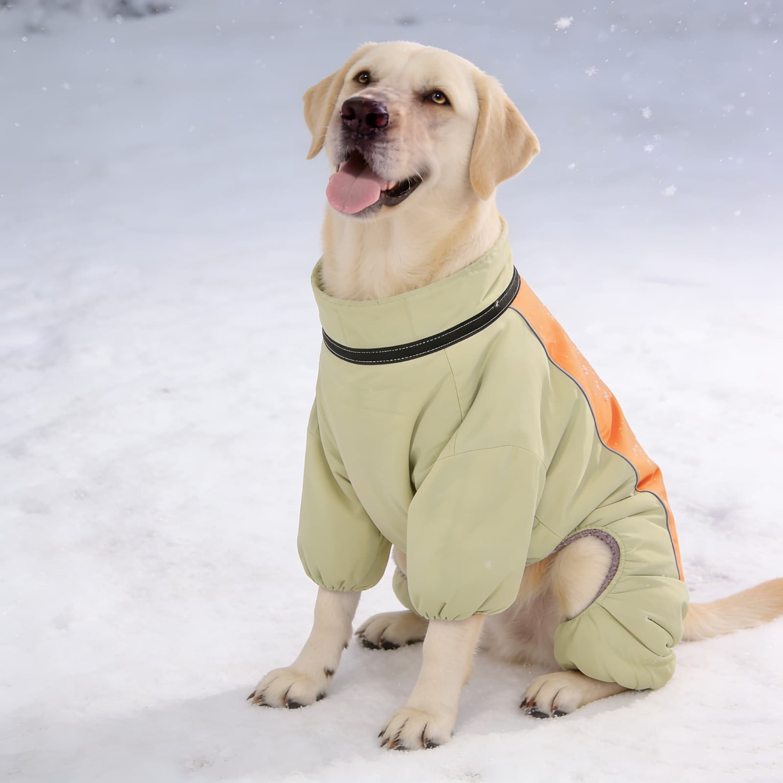 Dogs Full Body Winter Snow Jacket, Zip Up Fleece Lining Dog Coat ...