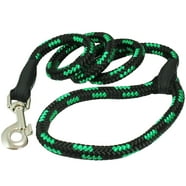 Loops 2 Double Handle 1" Nylon Dog Leash 6'-Blue - Walmart.com