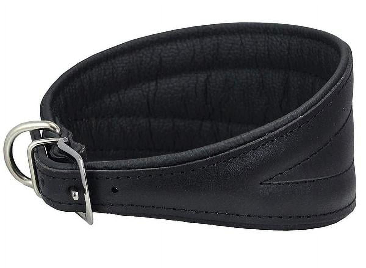 Dogs My Love Real Leather Extra Wide Padded Tapered Dog Collar (10"-11. ...
