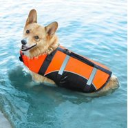 Kuoser Dog Life Jacket, High Flotation Dog Life Vest for Swimming ...