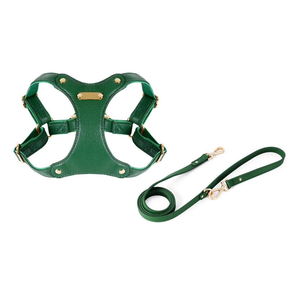 Dogs Training Harness & Leash Walking Pet Chest Harness Training Vest ...