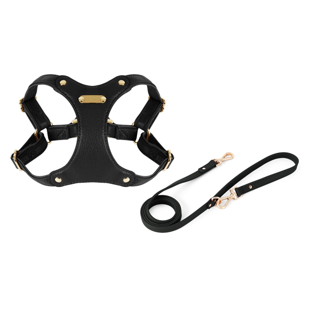 Dogs Training Harness & Leash Walking Pet Chest Harness Training Vest ...