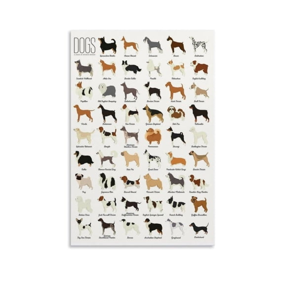 Dogs Types of The World Popular Breeds Chart Wall Art 2 Poster Printing ...