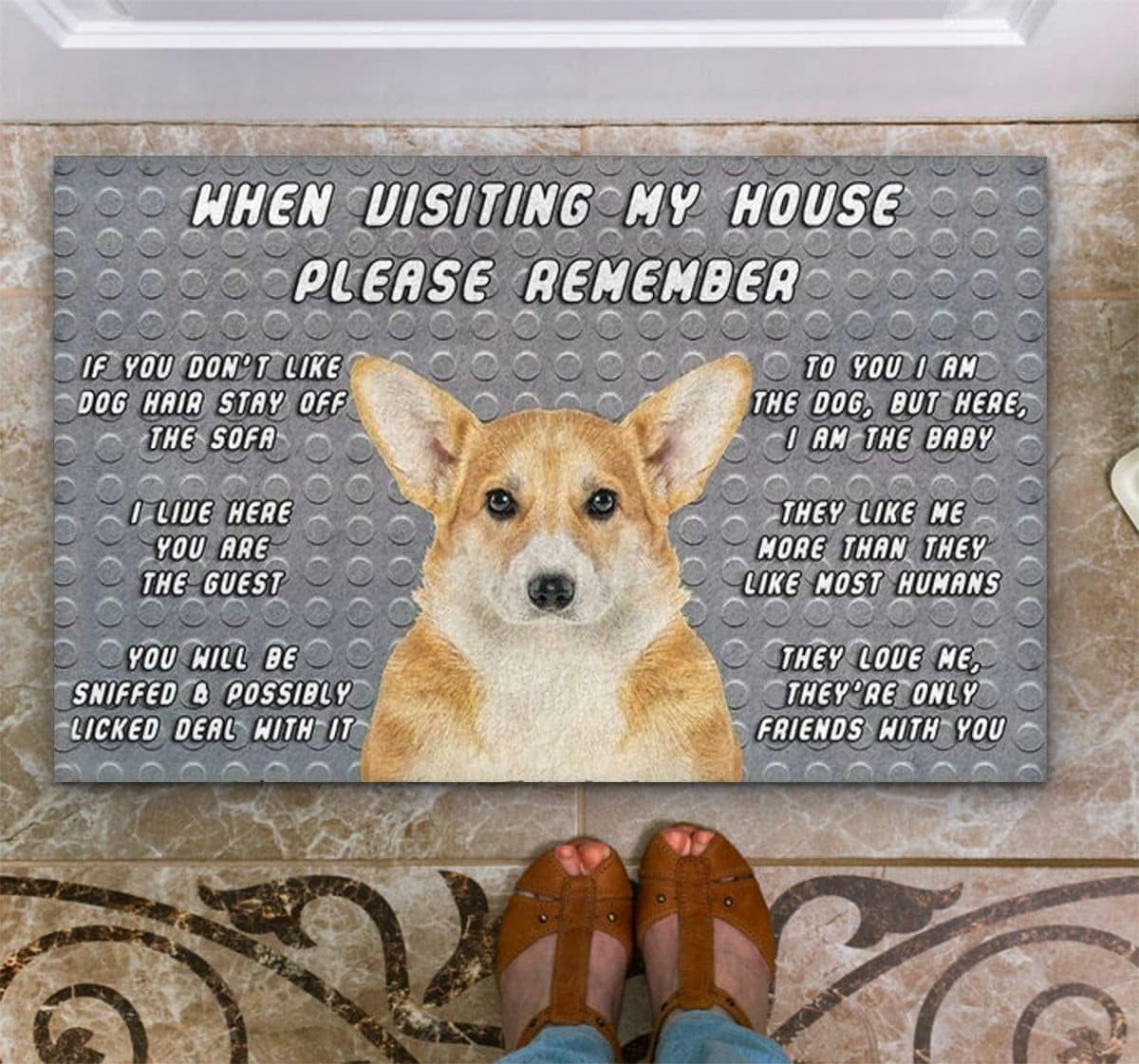 Dogs Welcome Mats for Front Door Please Remember Dog House Rules Welsh ...
