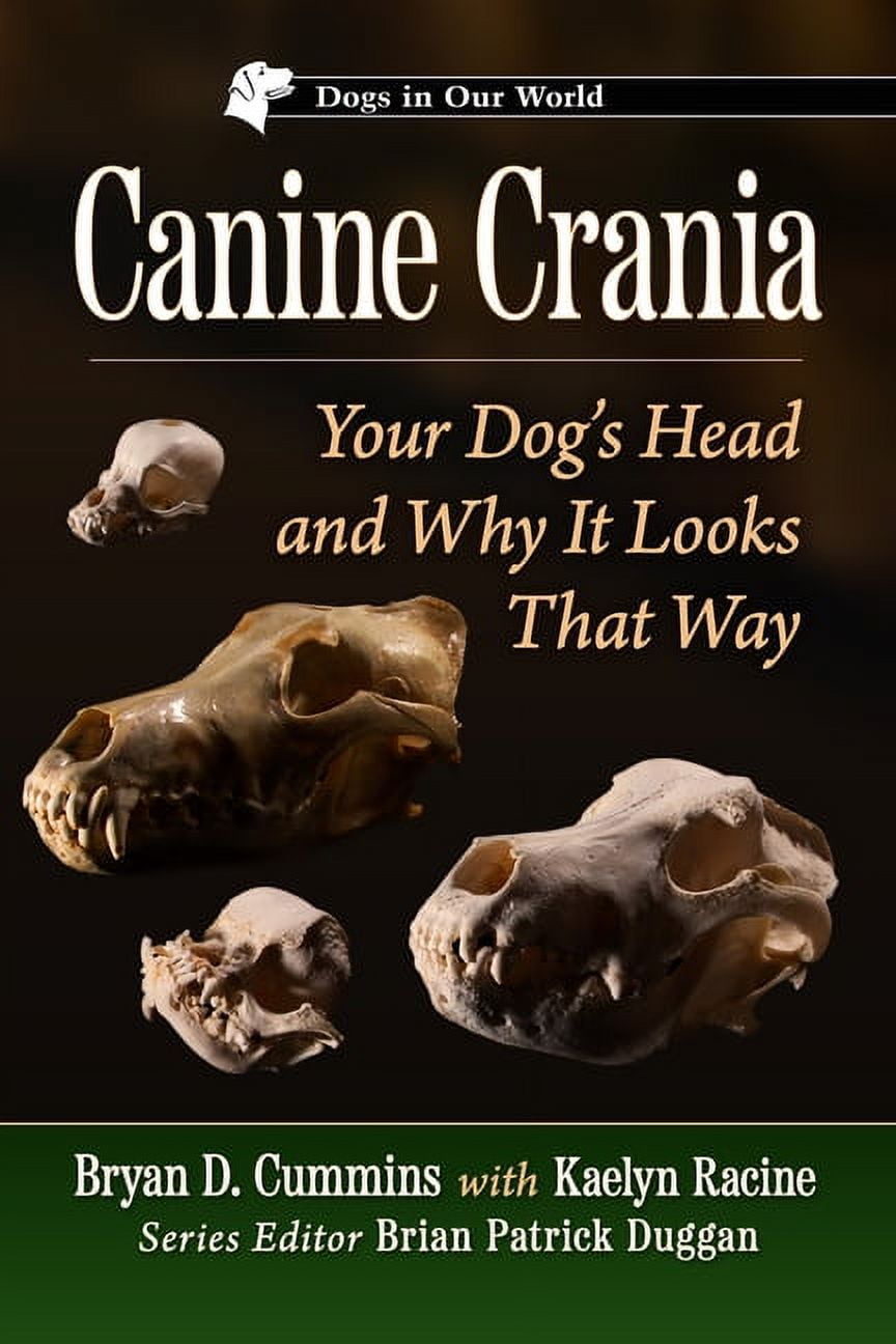 Dogs in Our World Canine Crania: Your Dog's Head and Why It Looks That ...