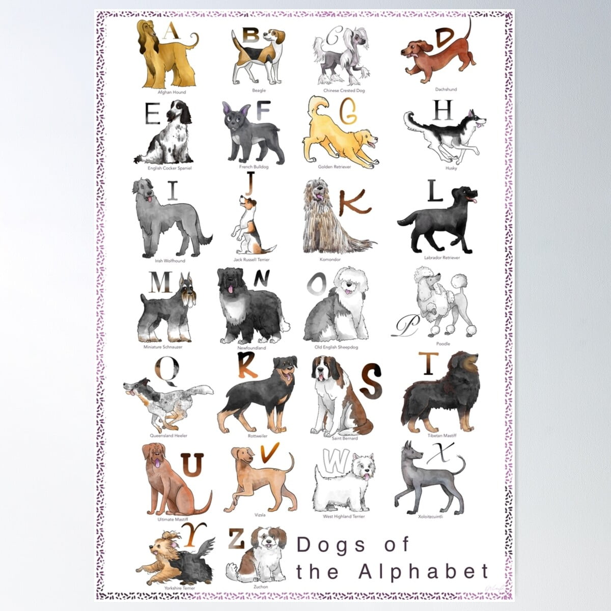 Dogs of the Alphabet Poster, 8x12 UNFRAMED - Walmart.com
