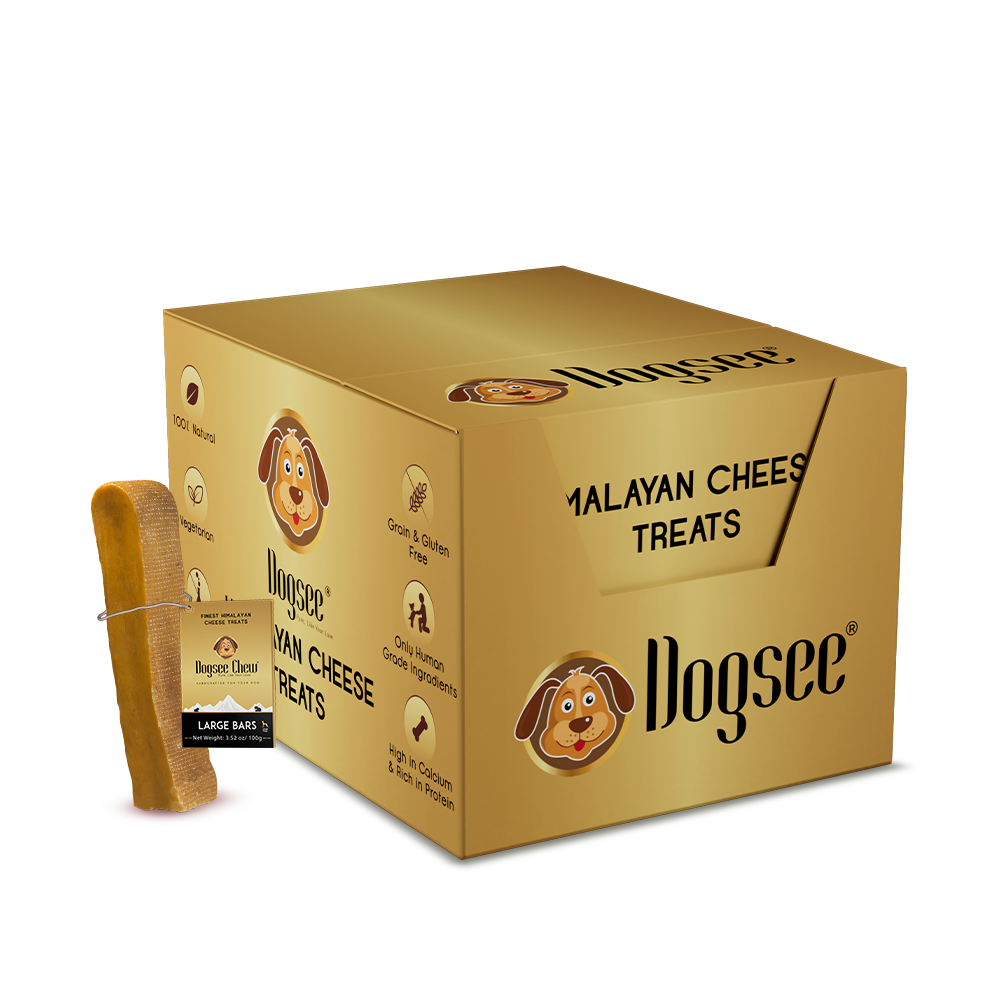 Dingo Dental Spirals Dry Dog Chews, 15 Count, Natural Chewing Action ...