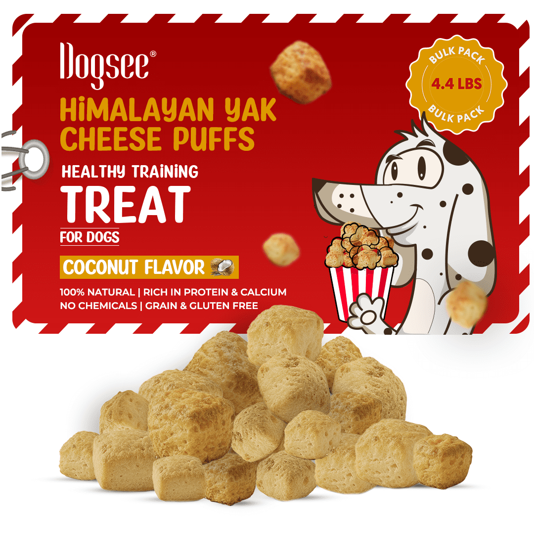 Dogsee Chew Mini Pops for Dogs and Puppies - Coconut | Dental Treats ...