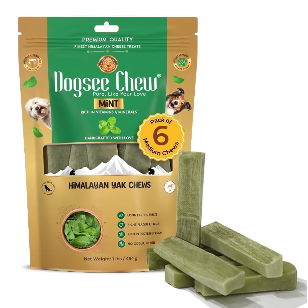 Dogsee Mint Flavor Himalayan Yak Cheese Dental Chews for Dogs 1lb ...