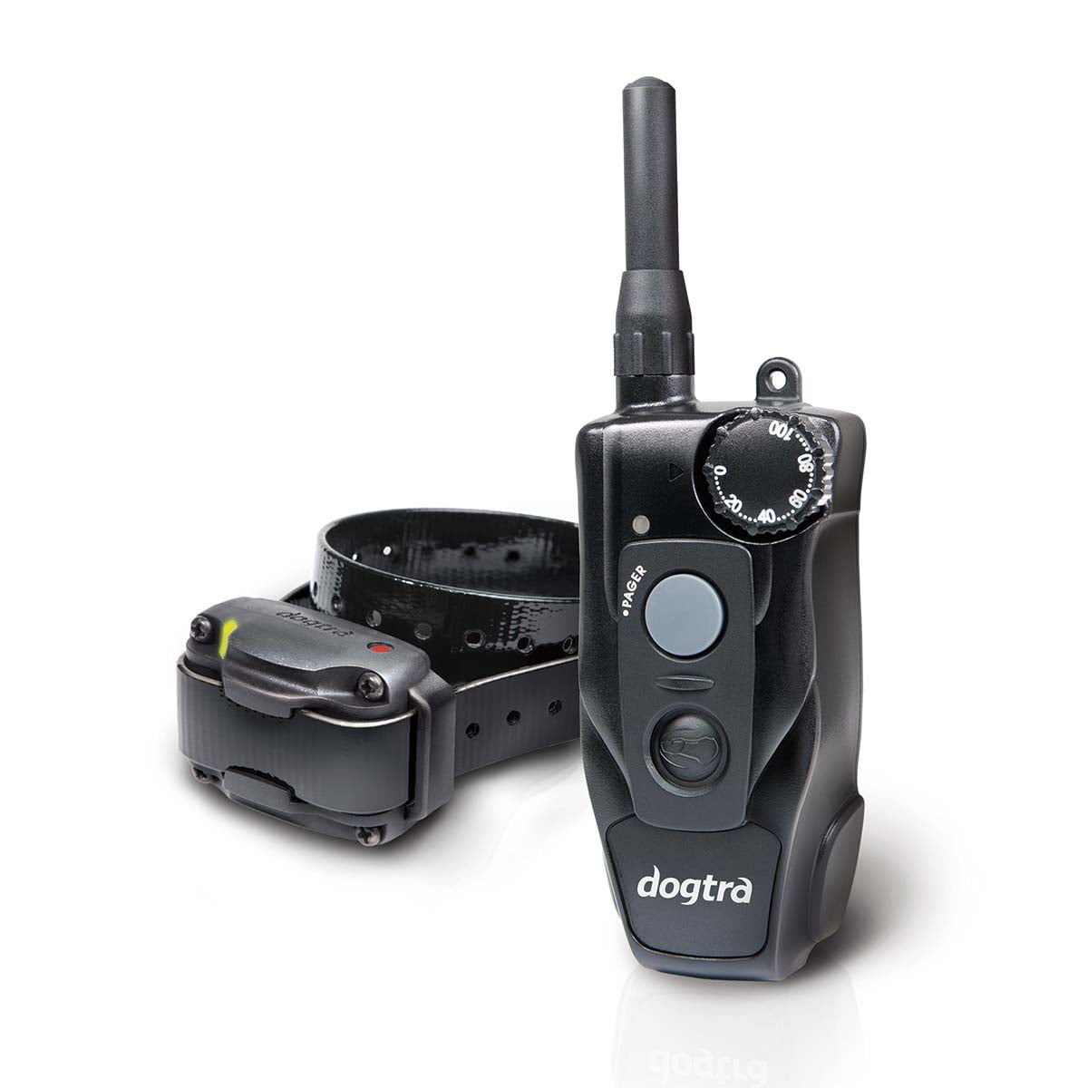Dogtra 200C Small Dog Trainer System with Remote, 1 Dog System ...