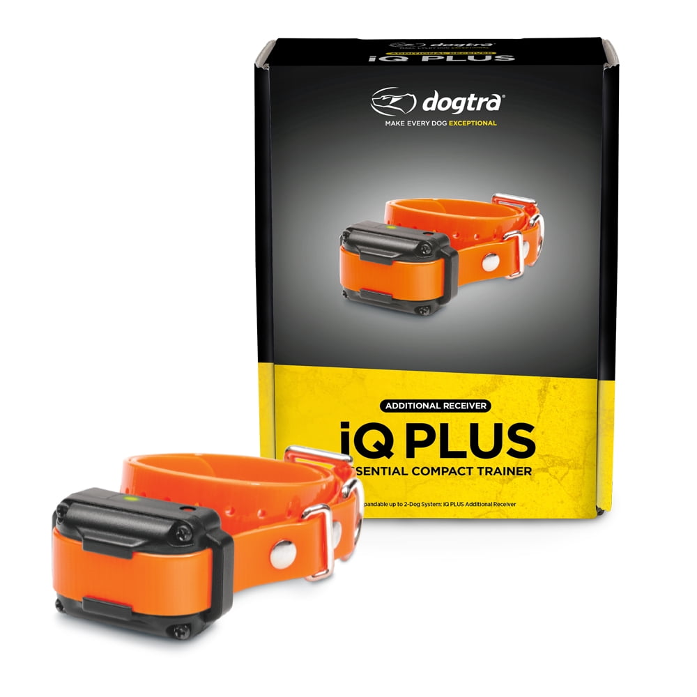 Dogtra IQ Plus Receiver Orange Strap, Compact Shock Collar, Training ...