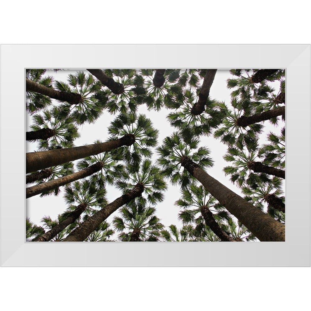 Dogu Sayli, Umut 18x13 White Modern Wood Framed Museum Art Print Titled ...