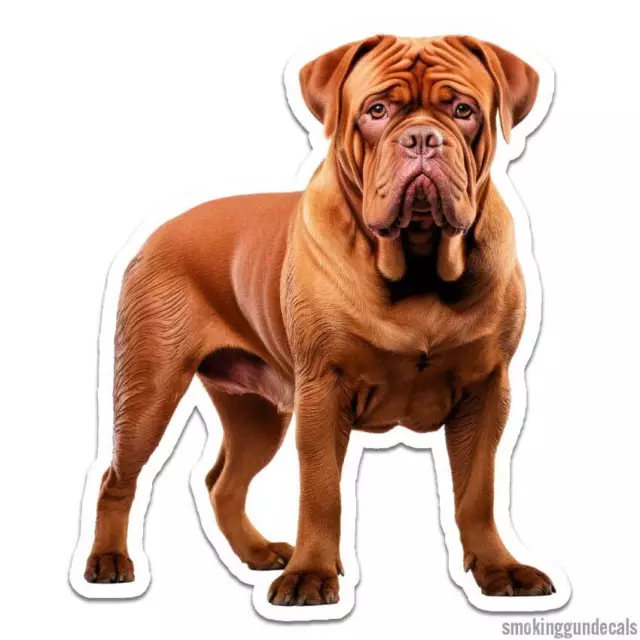 Dogue De Bordeaux Sticker Indoor Outdoor Phone Decal Water Bottle ...