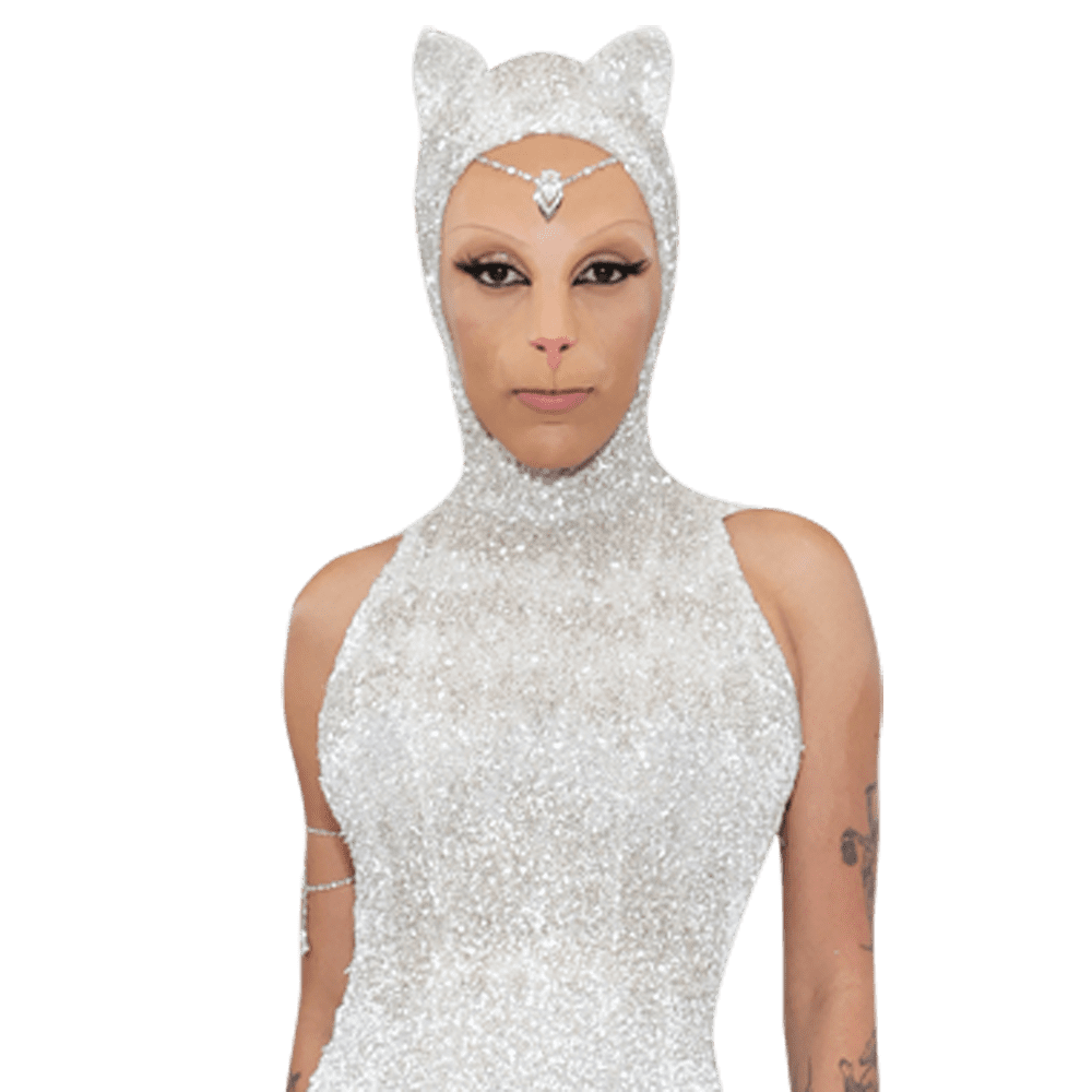 Doja Cat (Long Dress) Half Body Buddy Cutout - Walmart.com