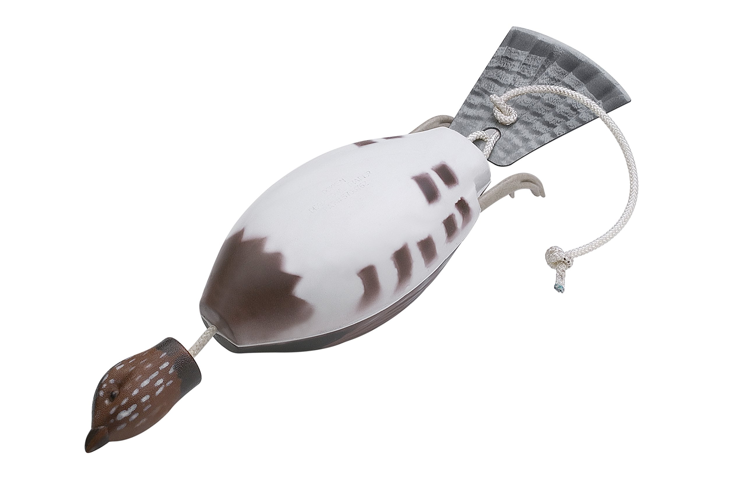 Dokken Ruffed Grouse Dead Fowl - Walmart.com