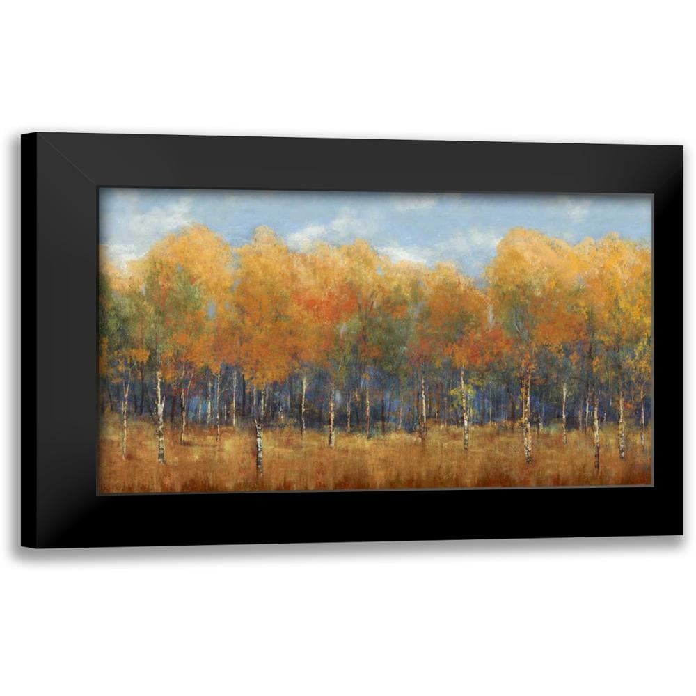 Dolce, Carmen 18x12 Black Modern Framed Museum Art Print Titled ...